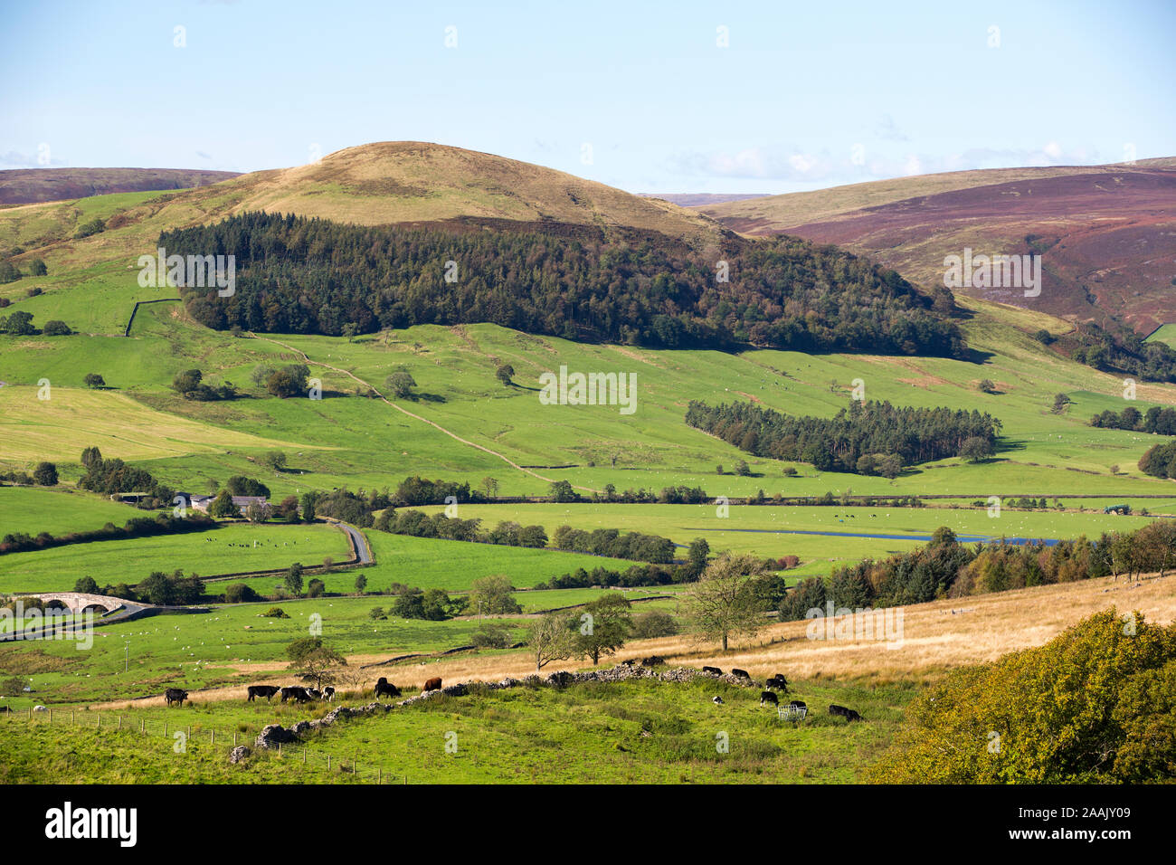 The Hodder Valley below Dunsop Bridge in Bowland, Lancashire, UK Stock ...