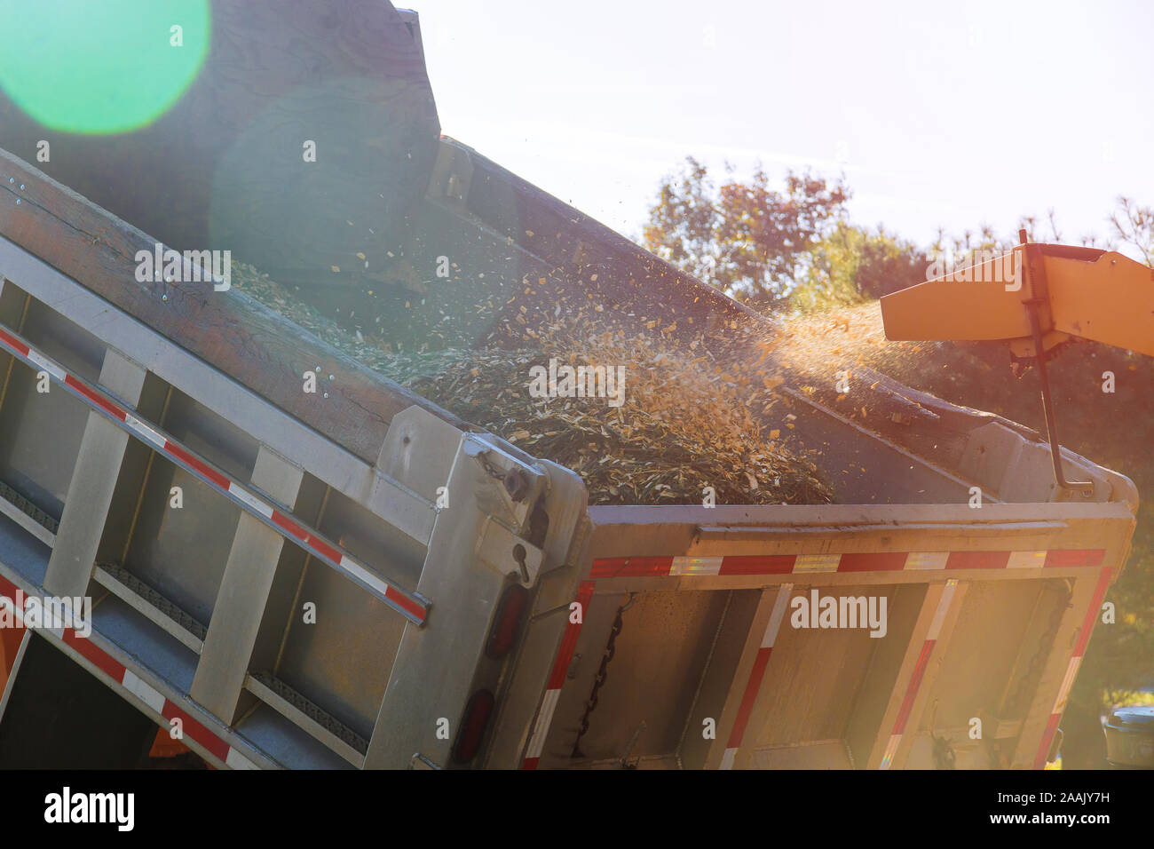 Wood chipper blowing tree branches cut a portable machine used for ...