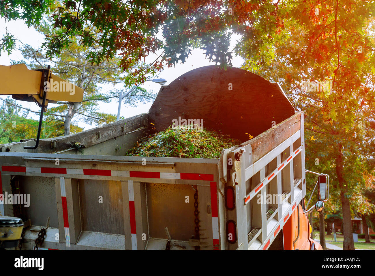 Wood chipper blowing tree branches cut a portable machine used for ...