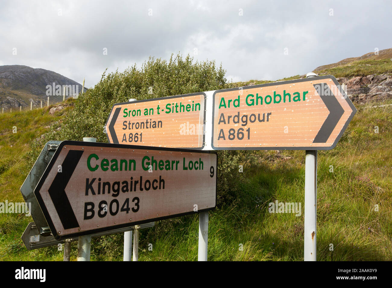 Algae staining hi-res stock photography and images - Alamy