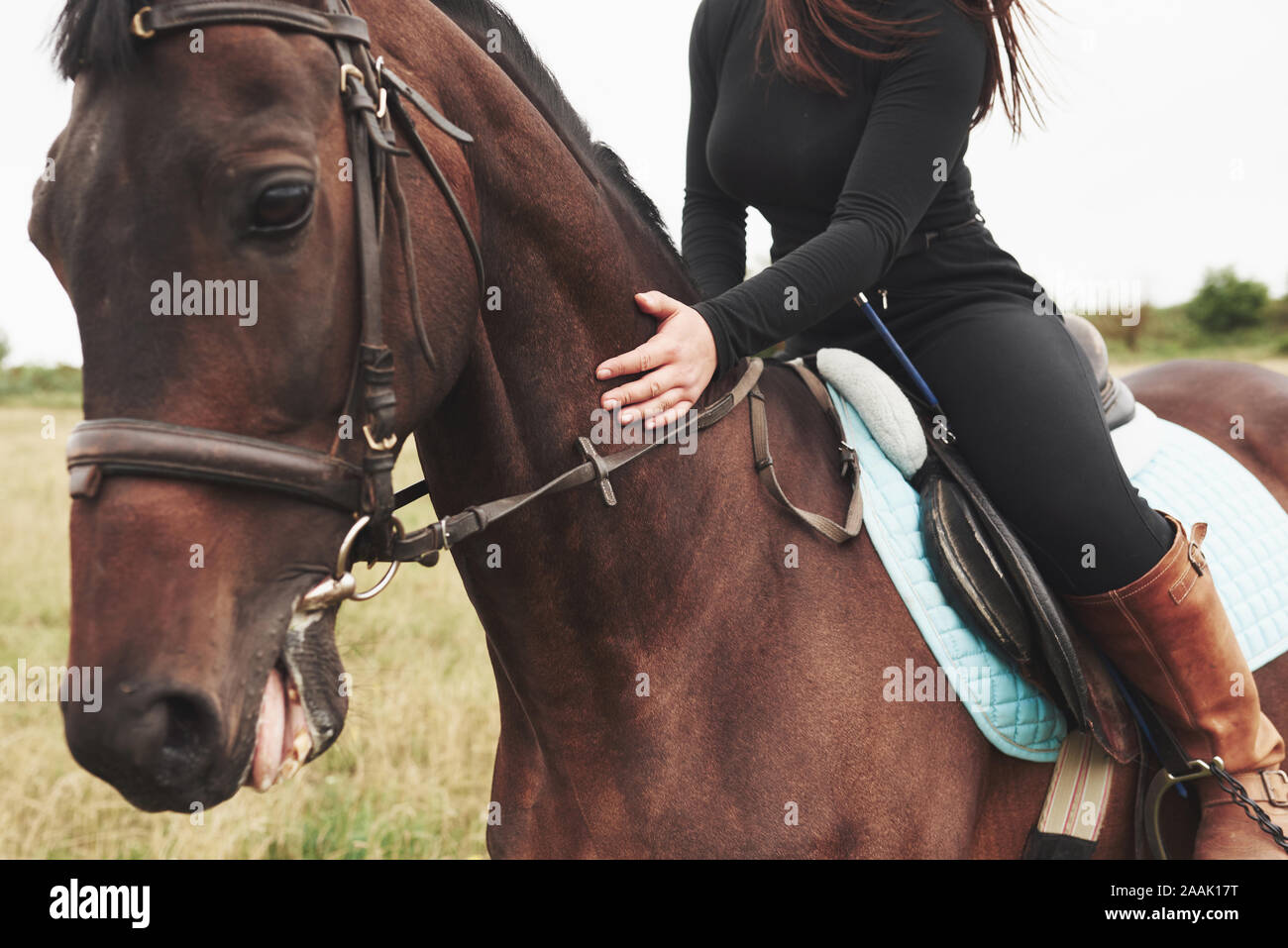 Closeup picture of young beautiful woman rides a horse Stock Photo - Alamy