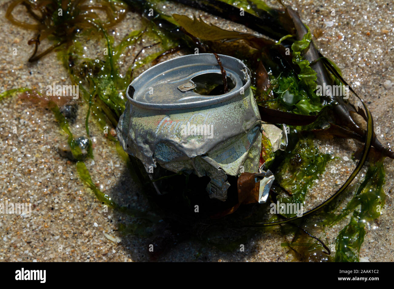A Coca-Cola can washed up Bar Point beach on St Mary's, Isles of scilly ...