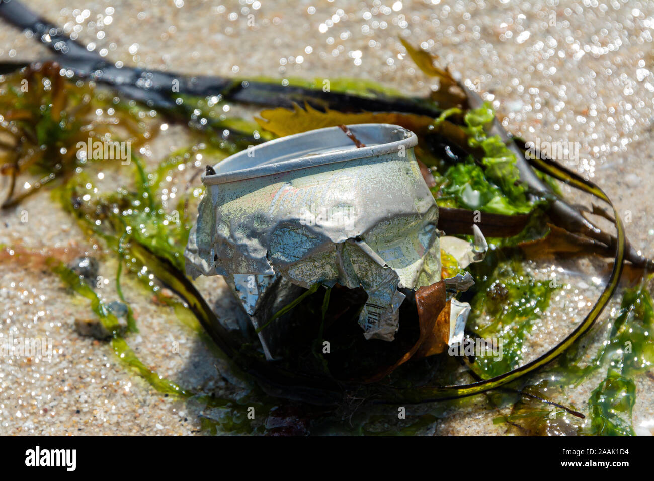 A Coca-Cola can washed up Bar Point beach on St Mary's, Isles of scilly ...