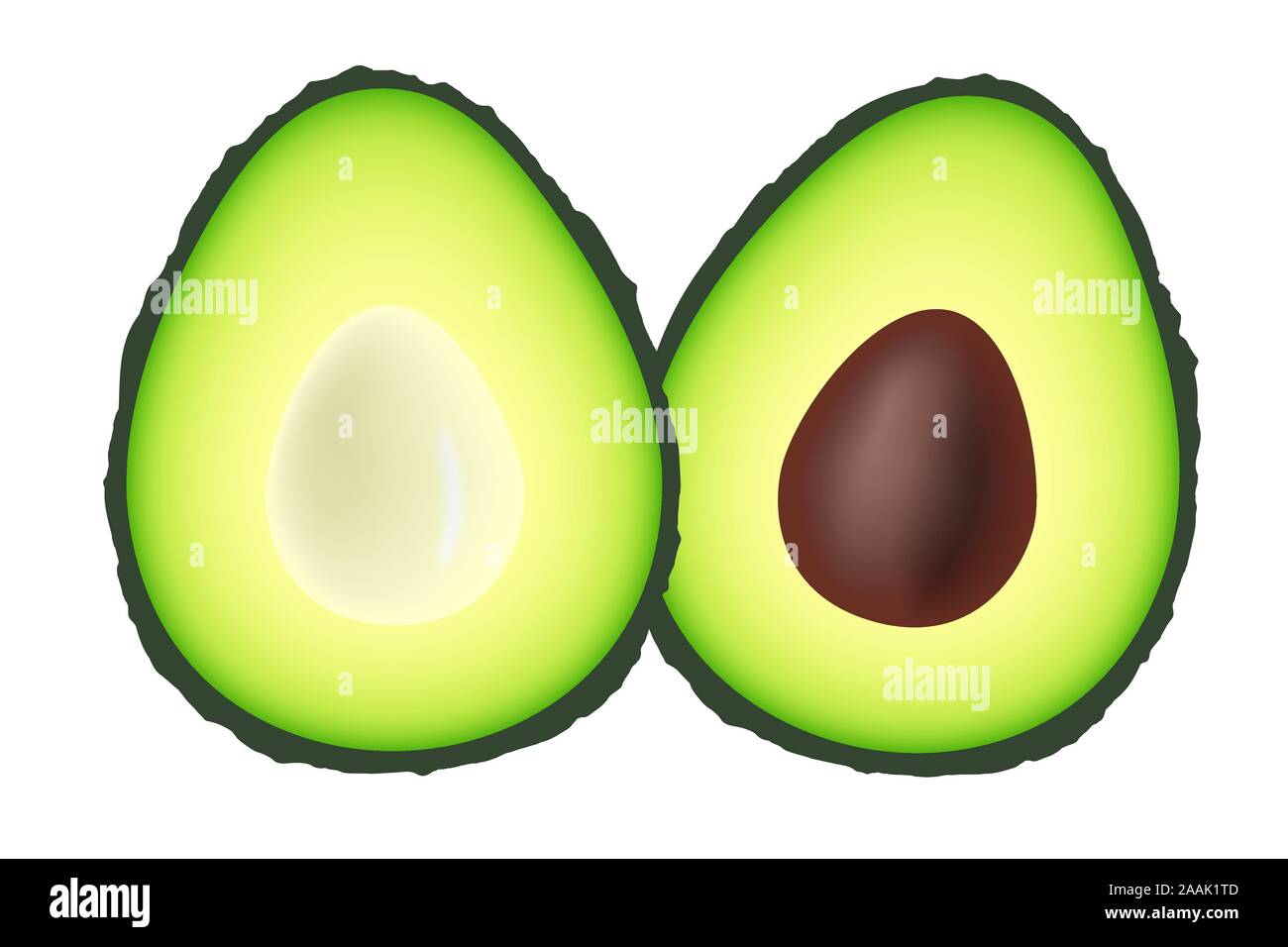 Green avocado fruit sliced, with seed and natural colors. Vector ...