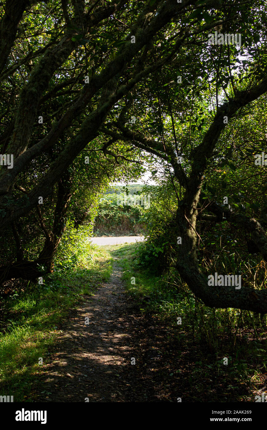 The Holy Vale nature trail path as it meets the road, St Mary's, Isles ...