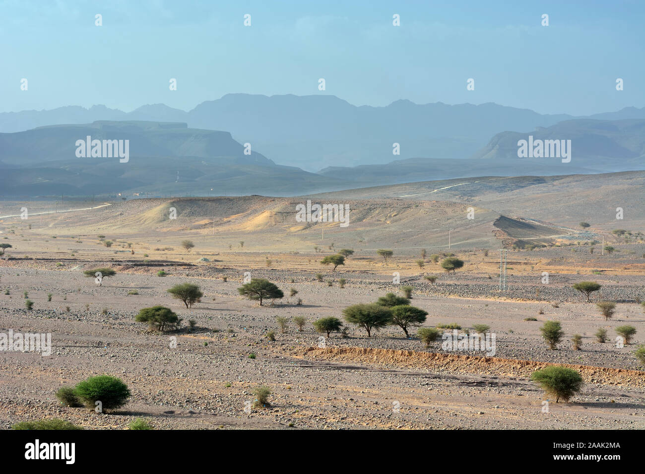 Djebel Saghro mountains and acacias. Nkob, Morocco Stock Photo - Alamy