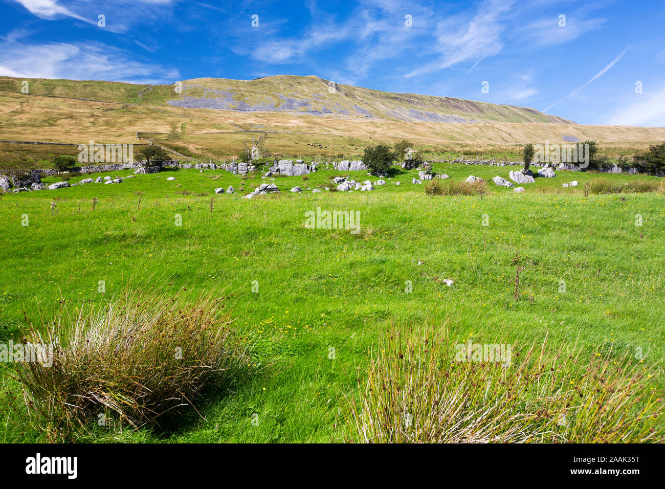 Whernside in the Yorkshire Dales, UK Stock Photo - Alamy