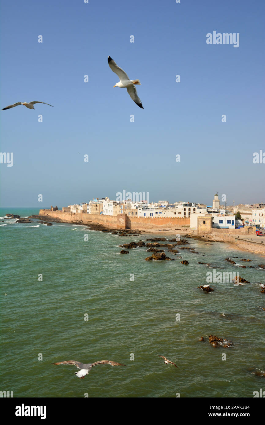 The walled city of Essaouira, a Unesco World Heritage Site, facing the ...