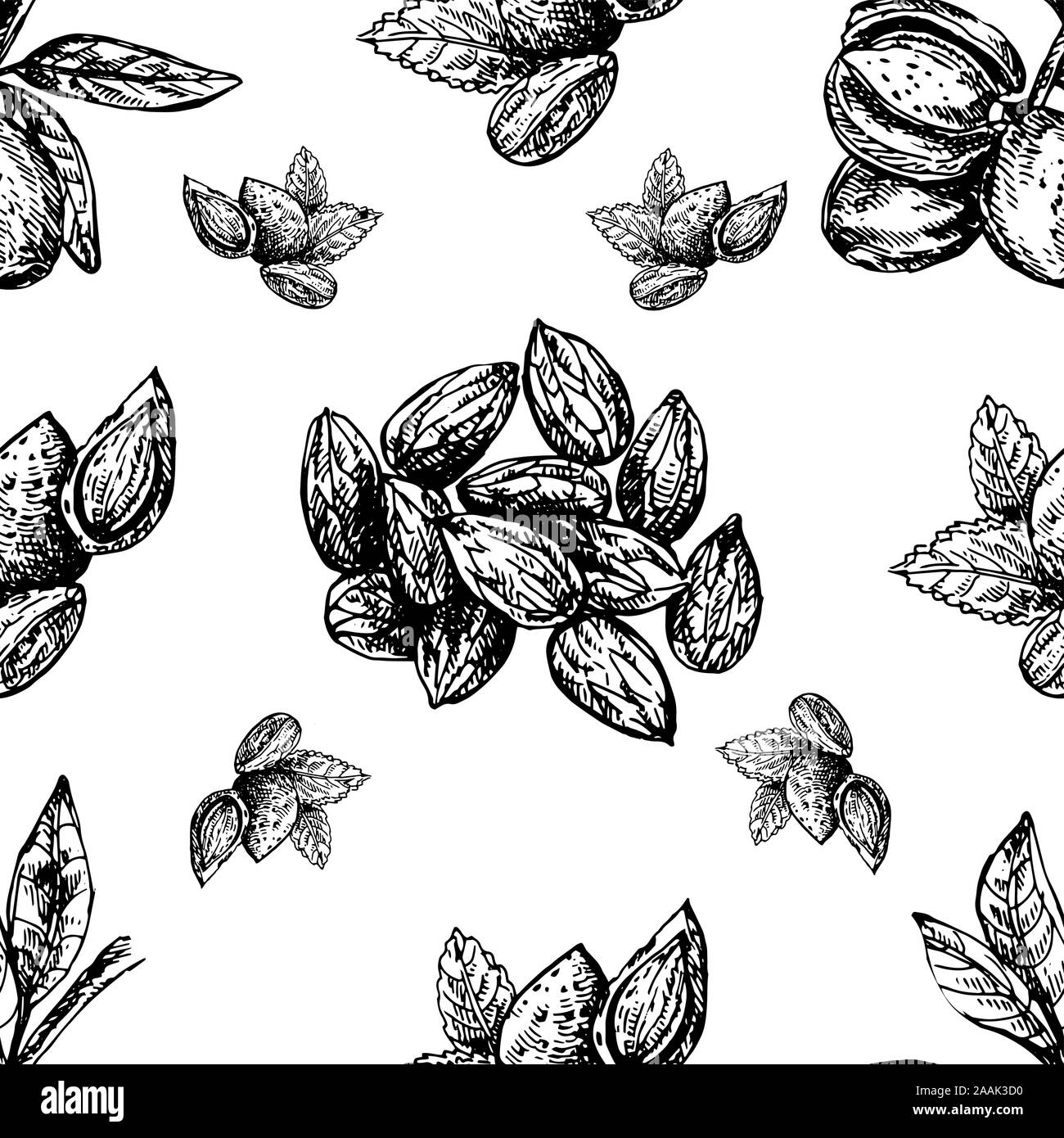Seamless Pattern Of Hand Drawn Sketch Style Almonds Isolated On White