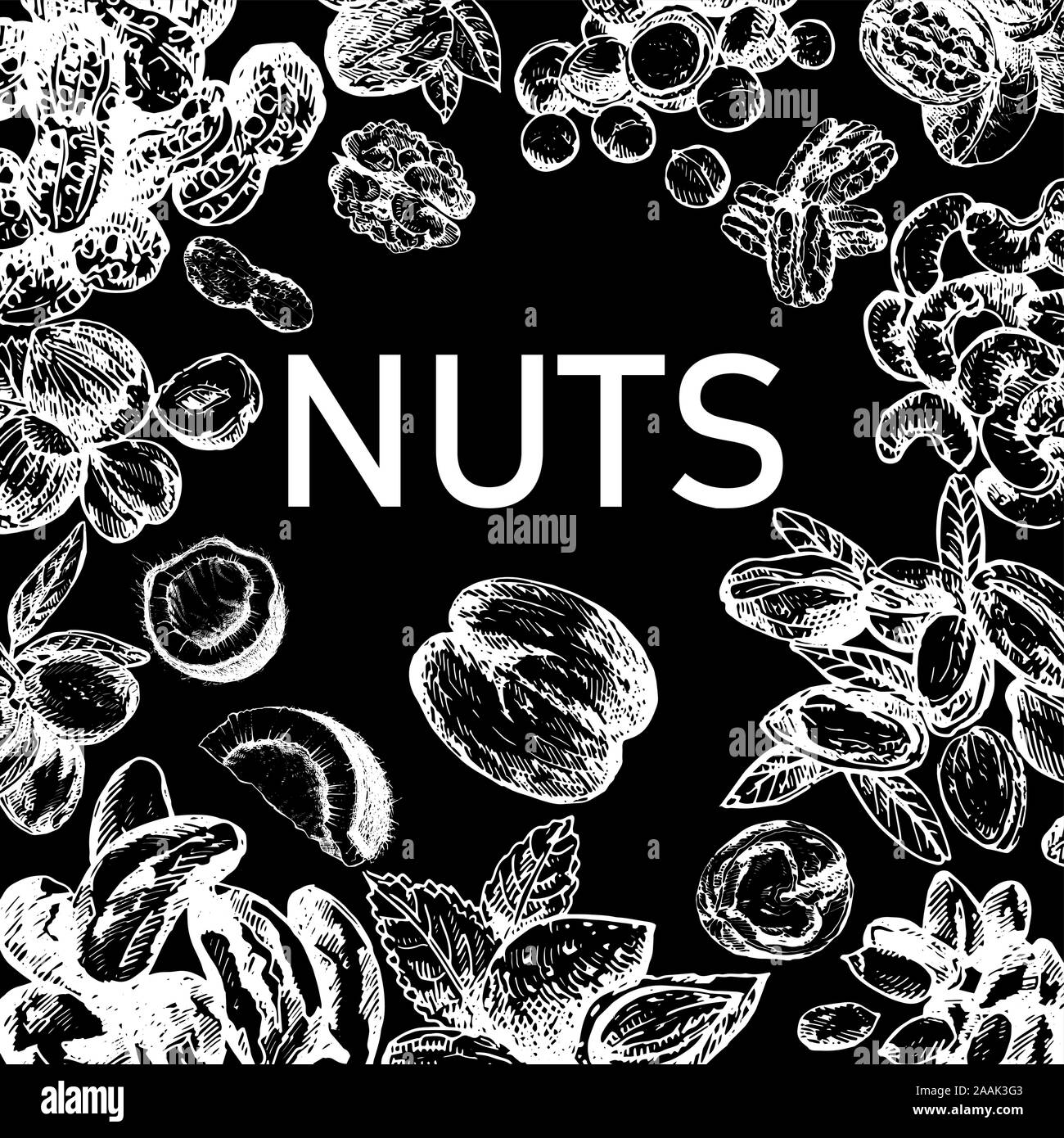 Poster card composition of hand drawn sketch style different kinds of ...