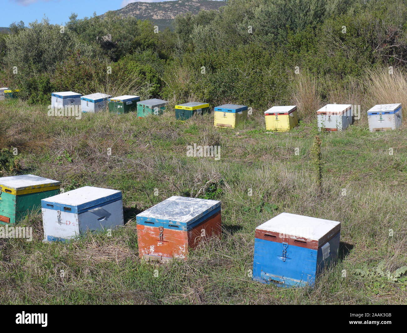 Portable bee hives hi-res stock photography and images - Alamy