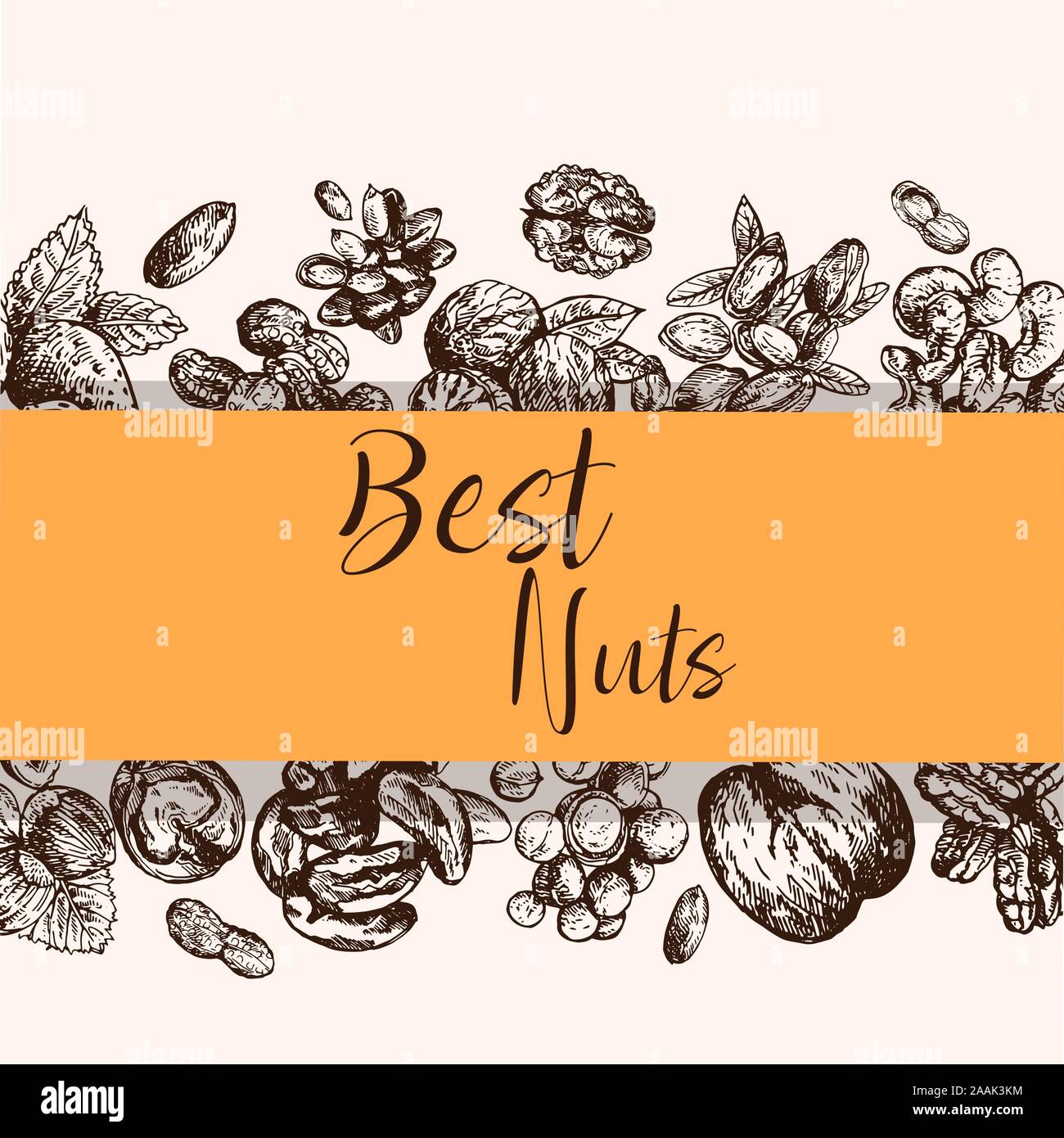 Poster card composition of hand drawn sketch style different kinds of ...