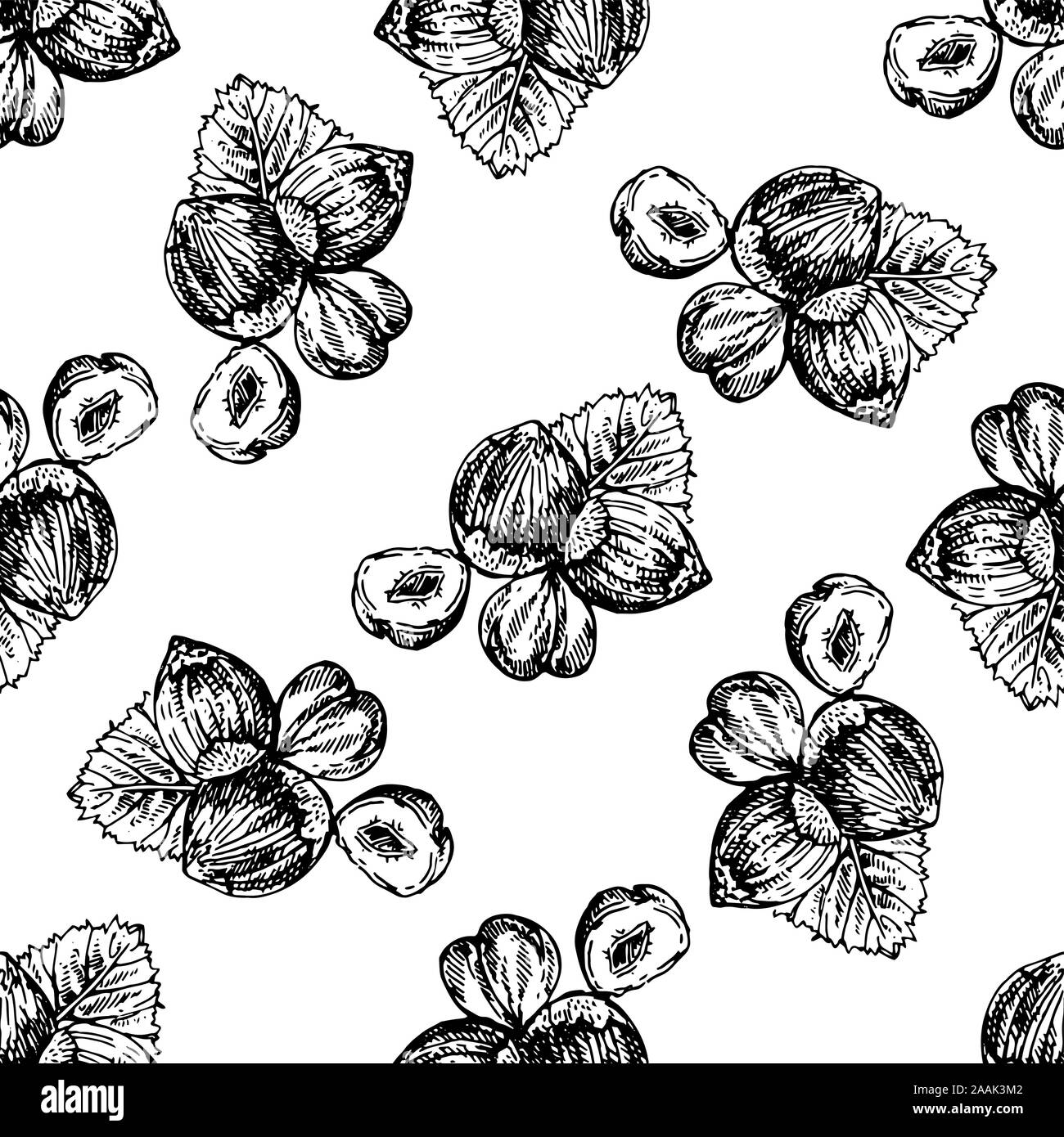 Seamless pattern of hand drawn sketch style hazelnuts isolated on white ...
