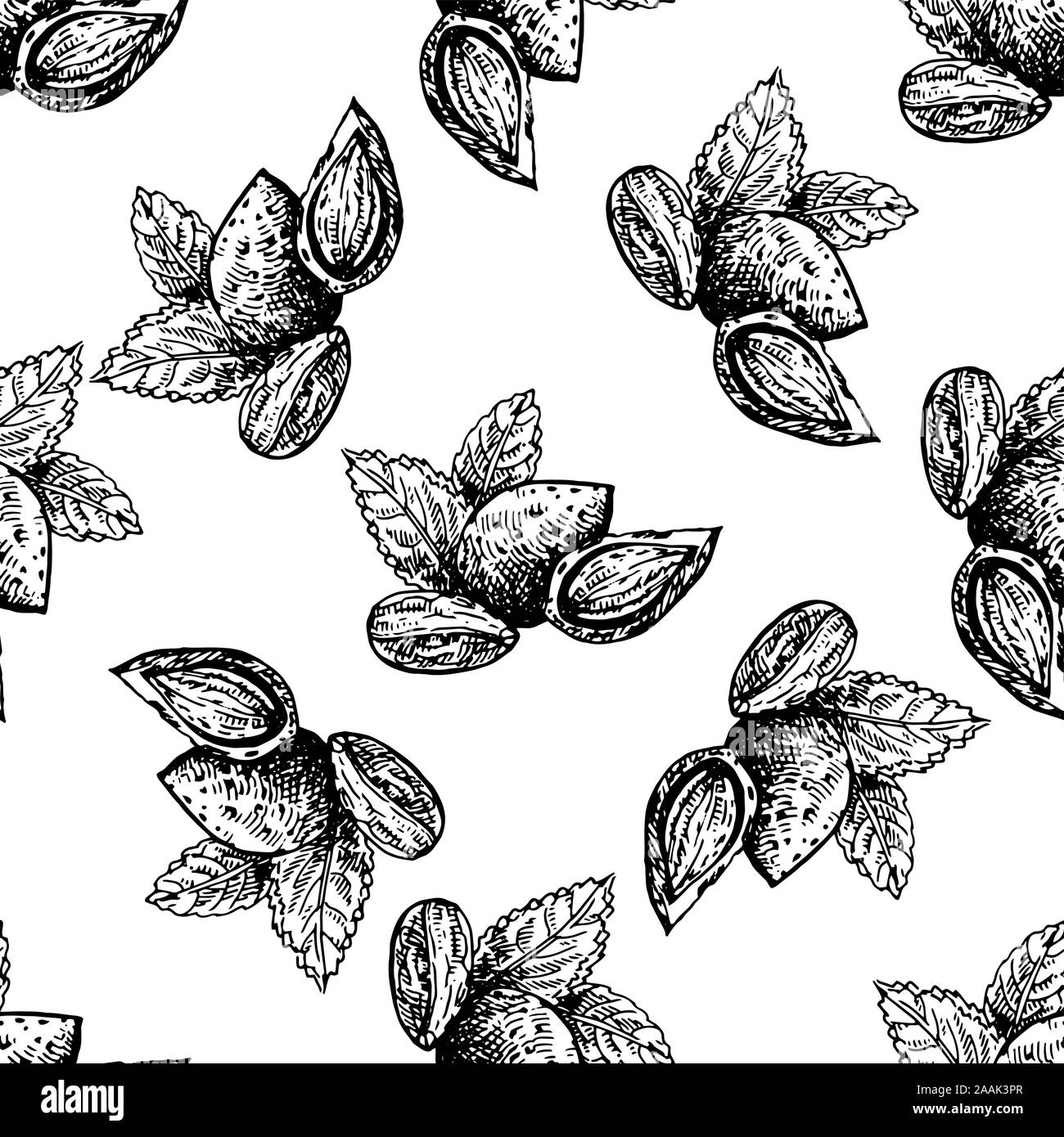 Seamless Pattern Of Hand Drawn Sketch Style Almonds Isolated On White