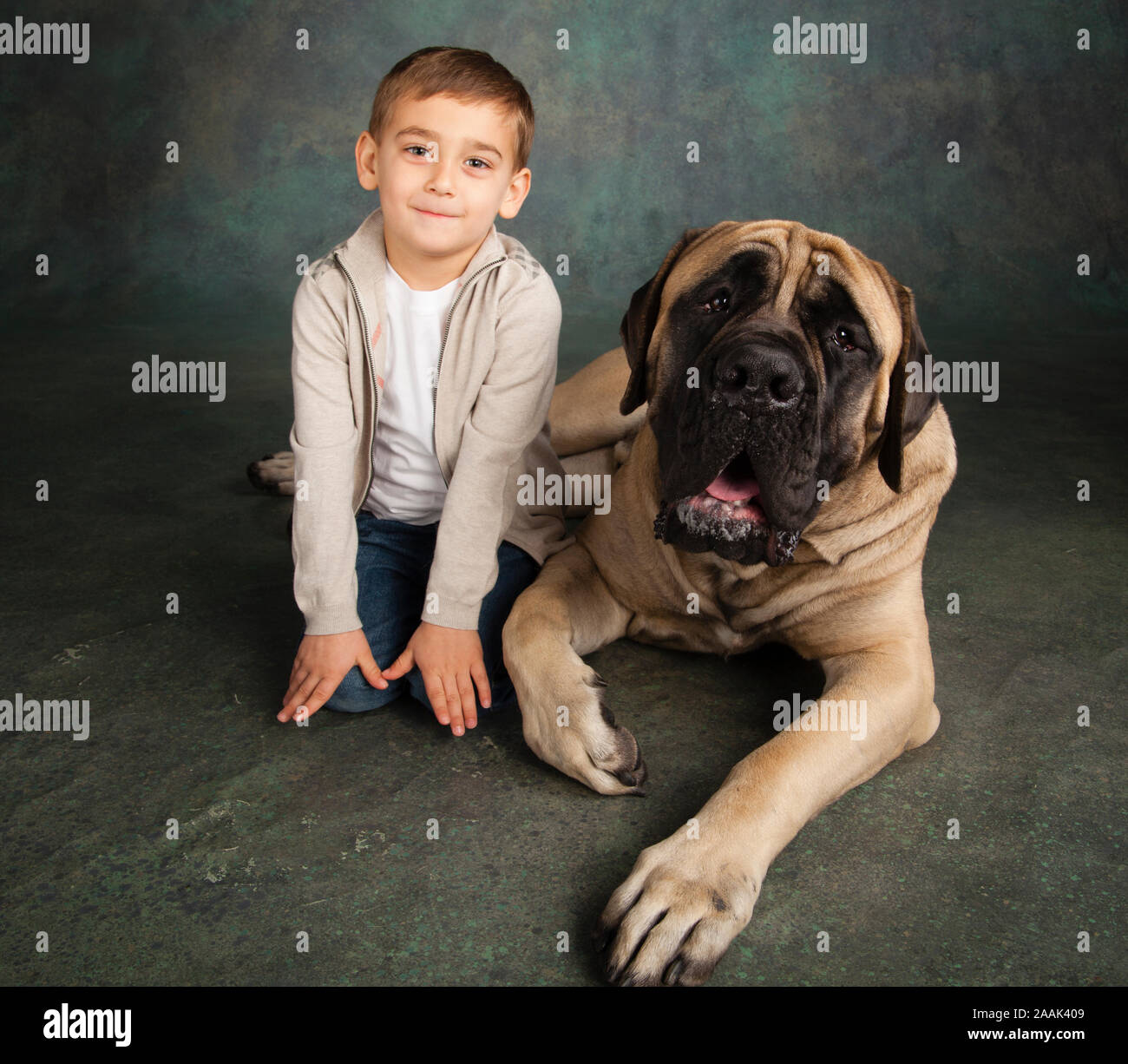 Are English Mastiff Good With Kids