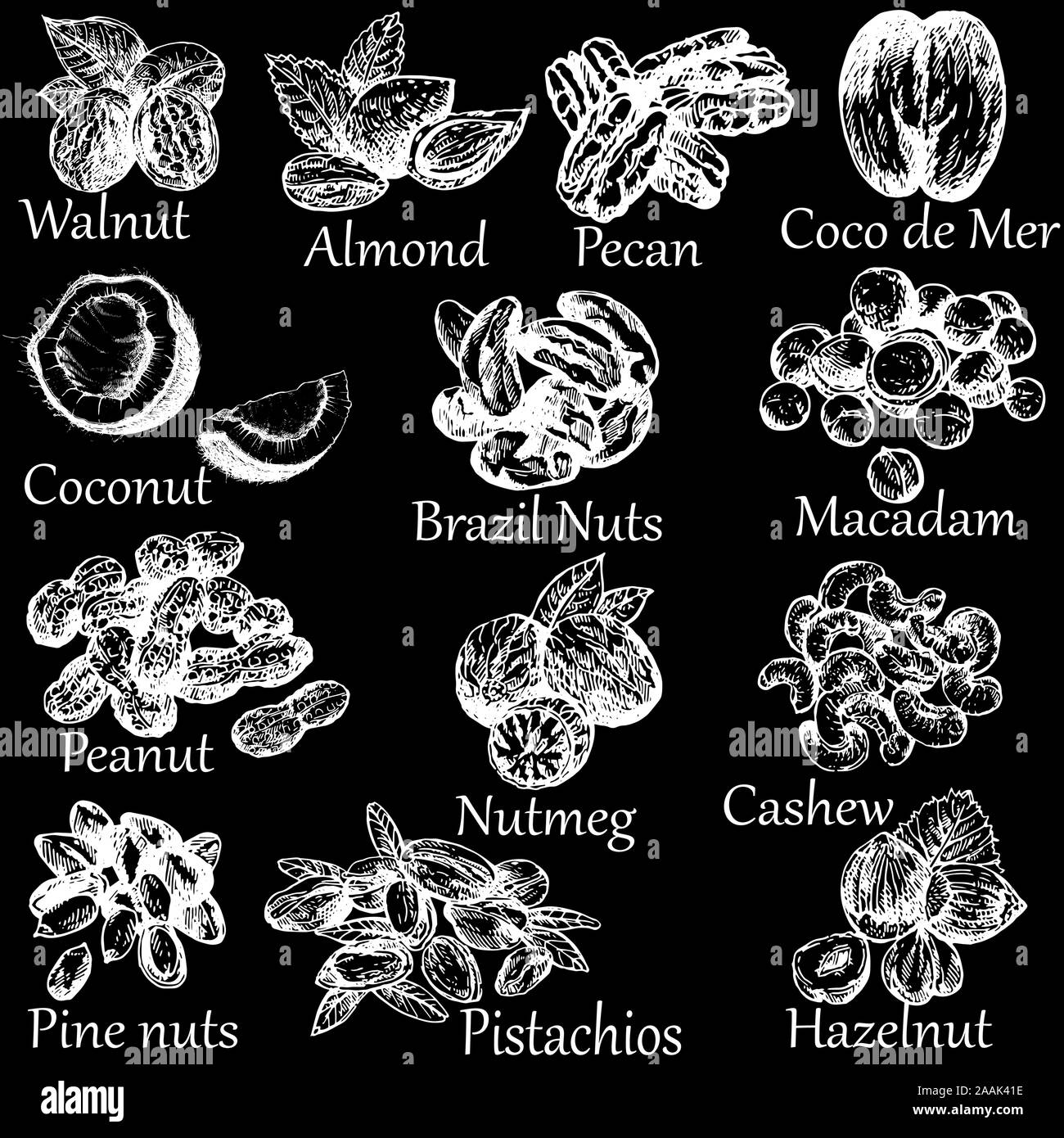 Set of hand drawn sketch style different kinds of nuts isolated on ...