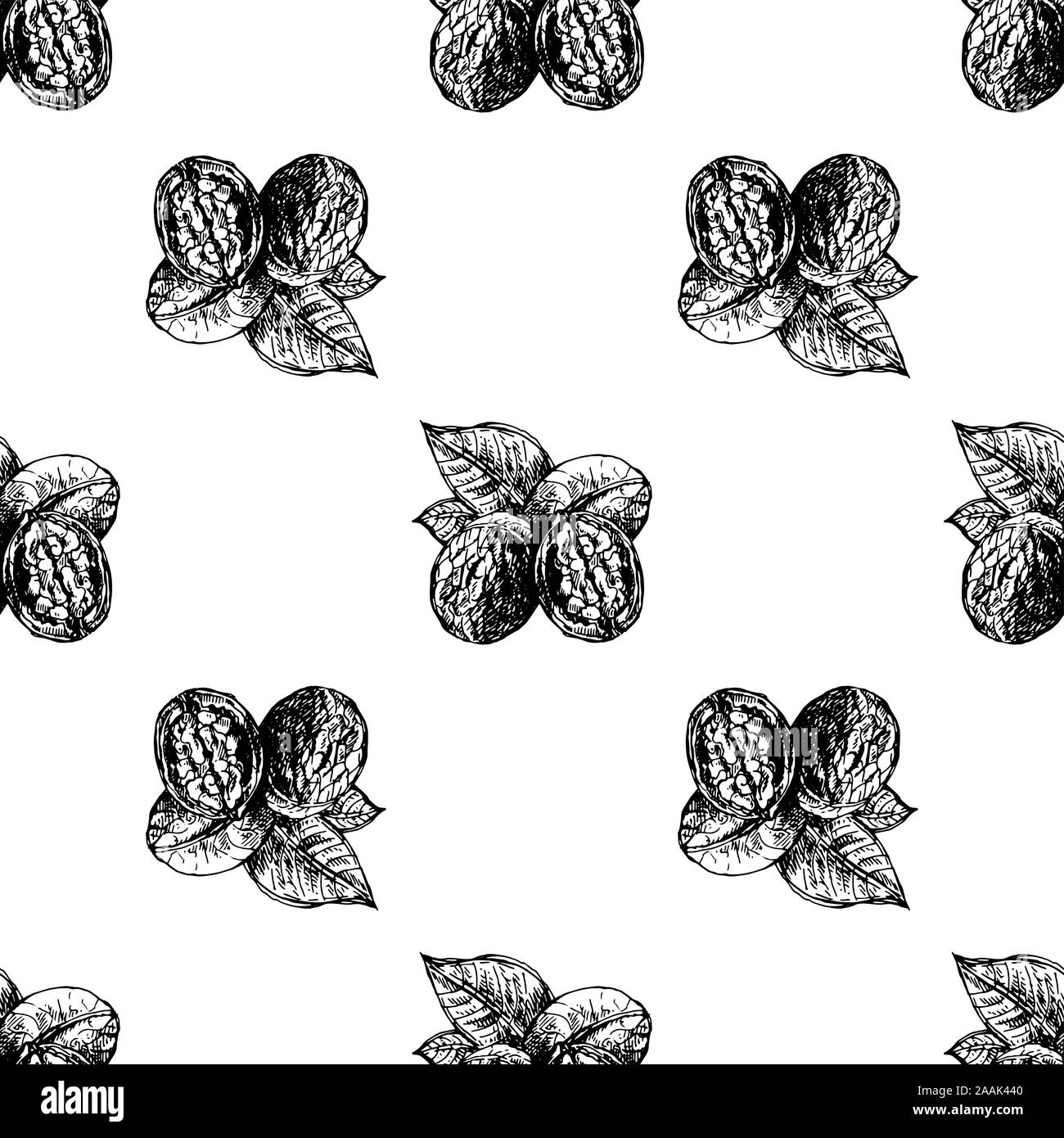 Seamless pattern of hand drawn sketch style walnuts isolated on white ...