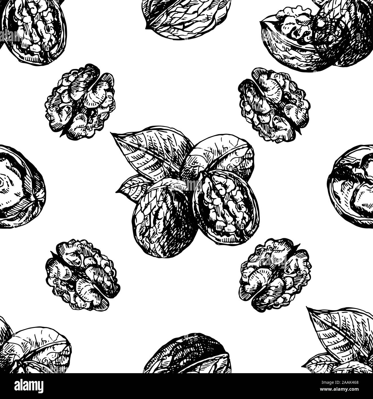 Seamless pattern of hand drawn sketch style walnuts isolated on white ...