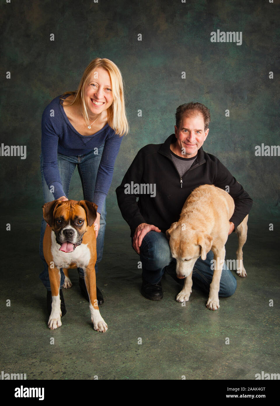 Studio portrait of couple with Boxer and Golden Retriever Lab mix Stock ...