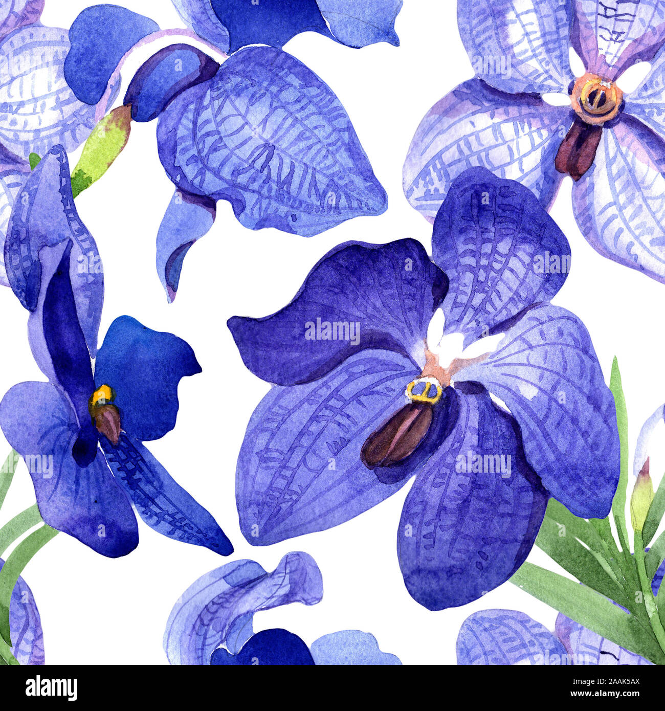 Orchid blue vanda. Seamless background pattern. Fabric wallpaper print ...