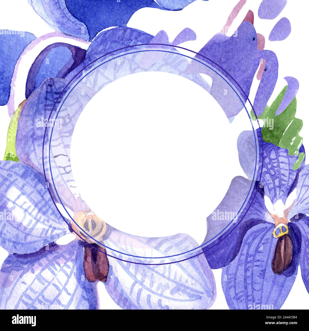 Orchid blue vanda. Floral botanical flower. Frame border ornament ...