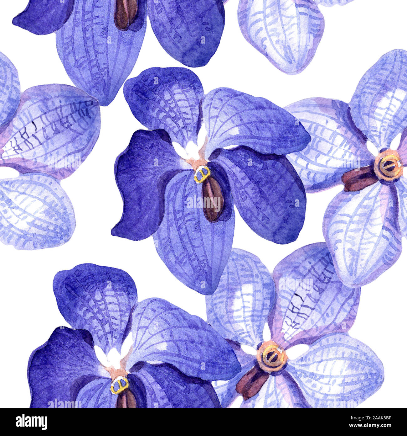 Orchid blue vanda. Seamless background pattern. Fabric wallpaper print ...