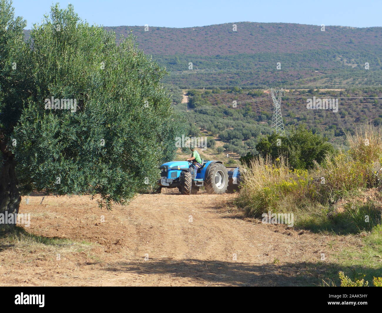 farming & plowing the soil in Chalkidiki, Greece Stock Photo - Alamy
