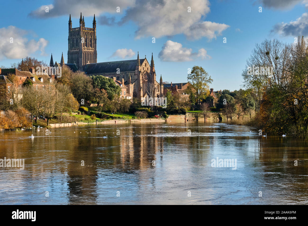 Worcester Cathedral, Worcester, Worcestershire Stock Photo - Alamy