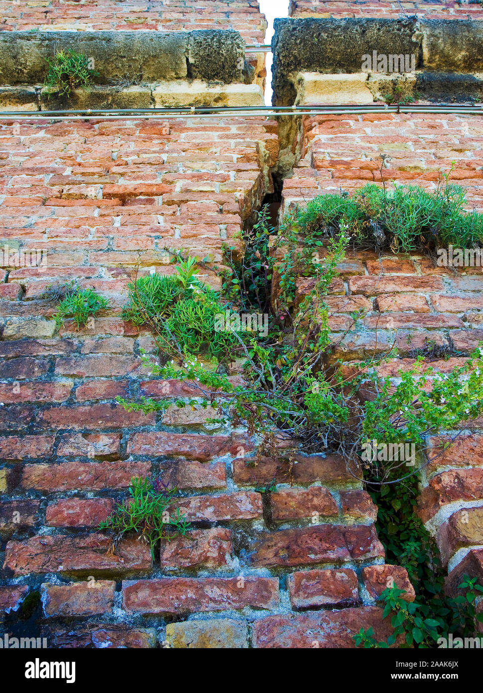 Deep fissures hi-res stock photography and images - Alamy