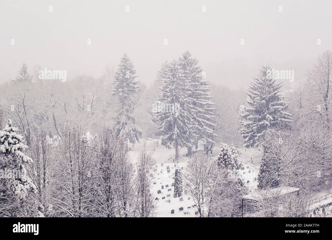 Top view on city cemetery in Banska Bystrica, Slovakia in heavy snowing ...