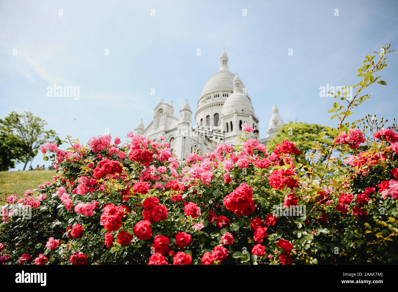 Parisien spring hi-res stock photography and images - Alamy