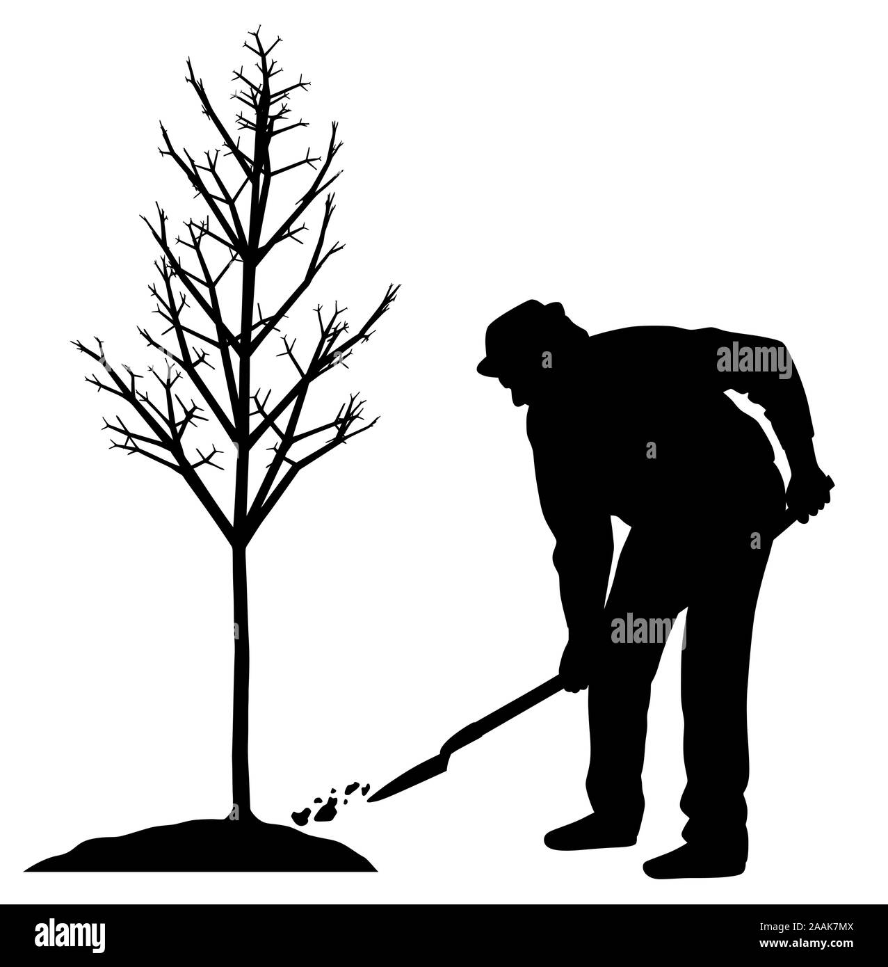 Man planting a tree Stock Vector Image & Art - Alamy