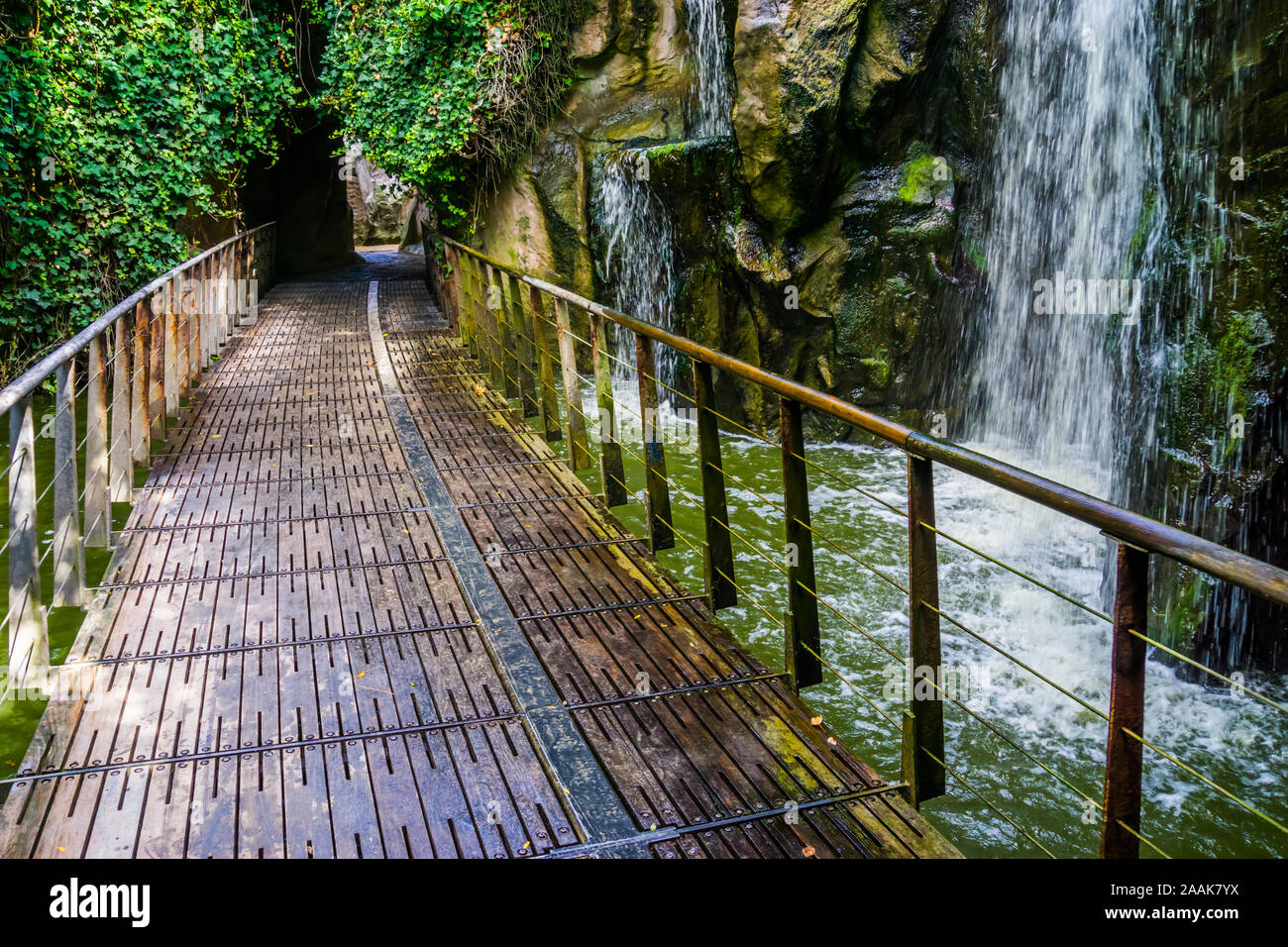 Walking path with a waterfall, beautiful nature and garden architecture ...