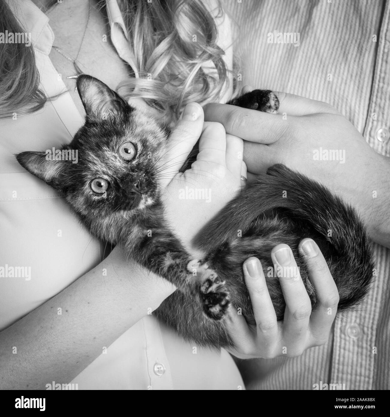 Pets pet owners Black and White Stock Photos & Images - Alamy