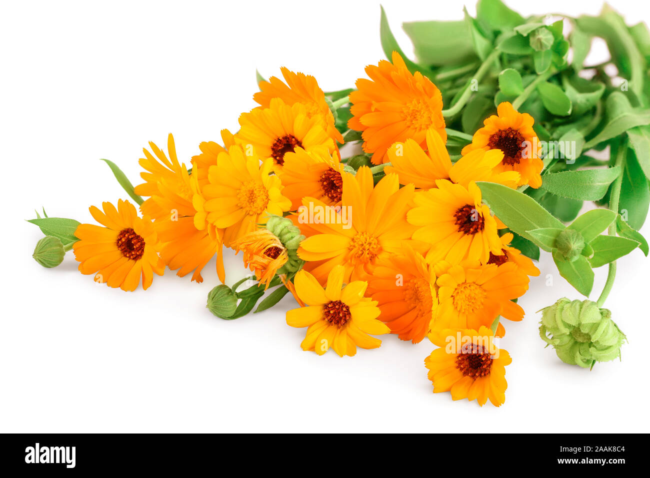 bouquet of orange Calendula flowers Isolated on white background Stock ...