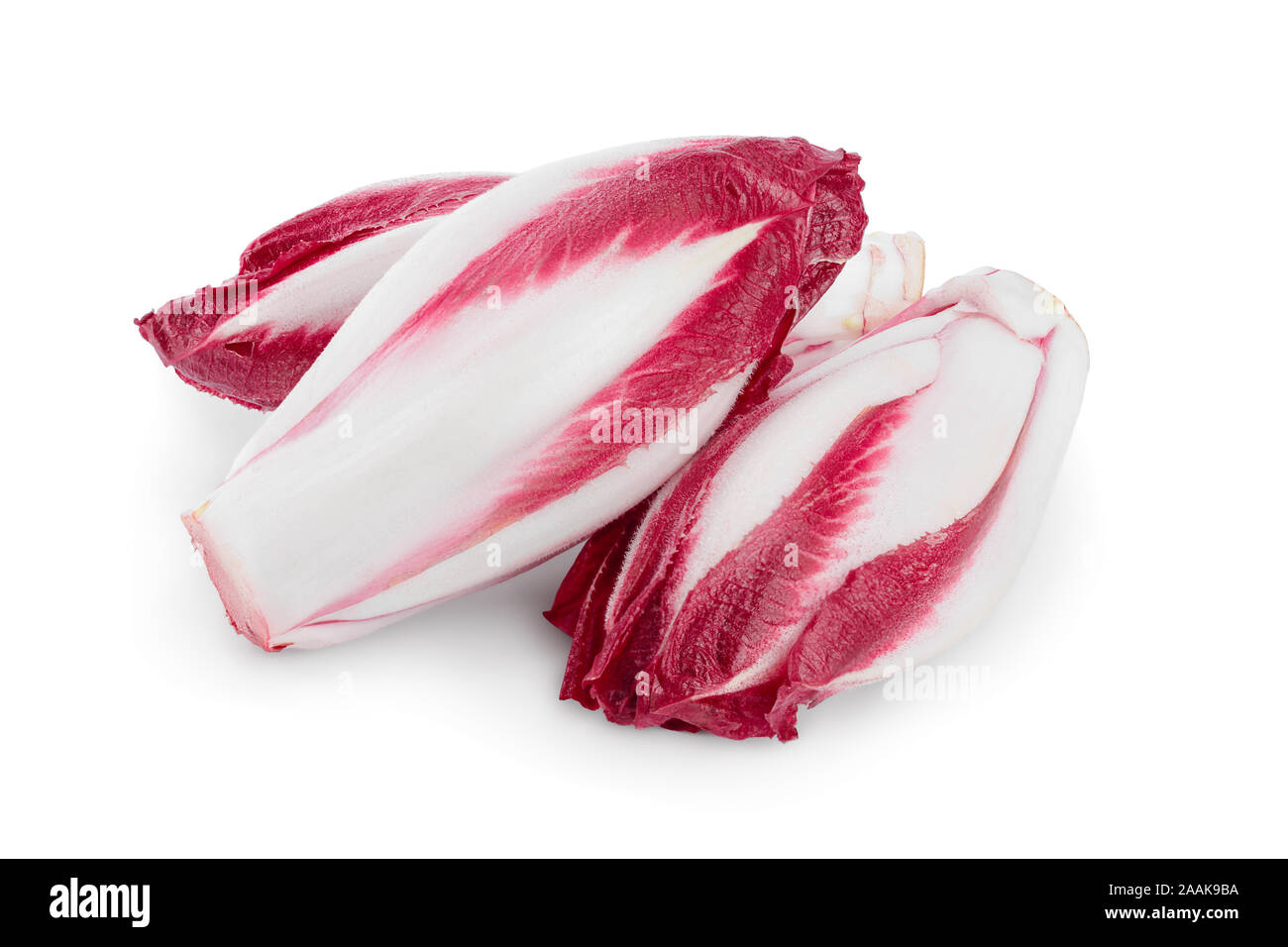 red chicory or radicchio isolated on white background Stock Photo - Alamy