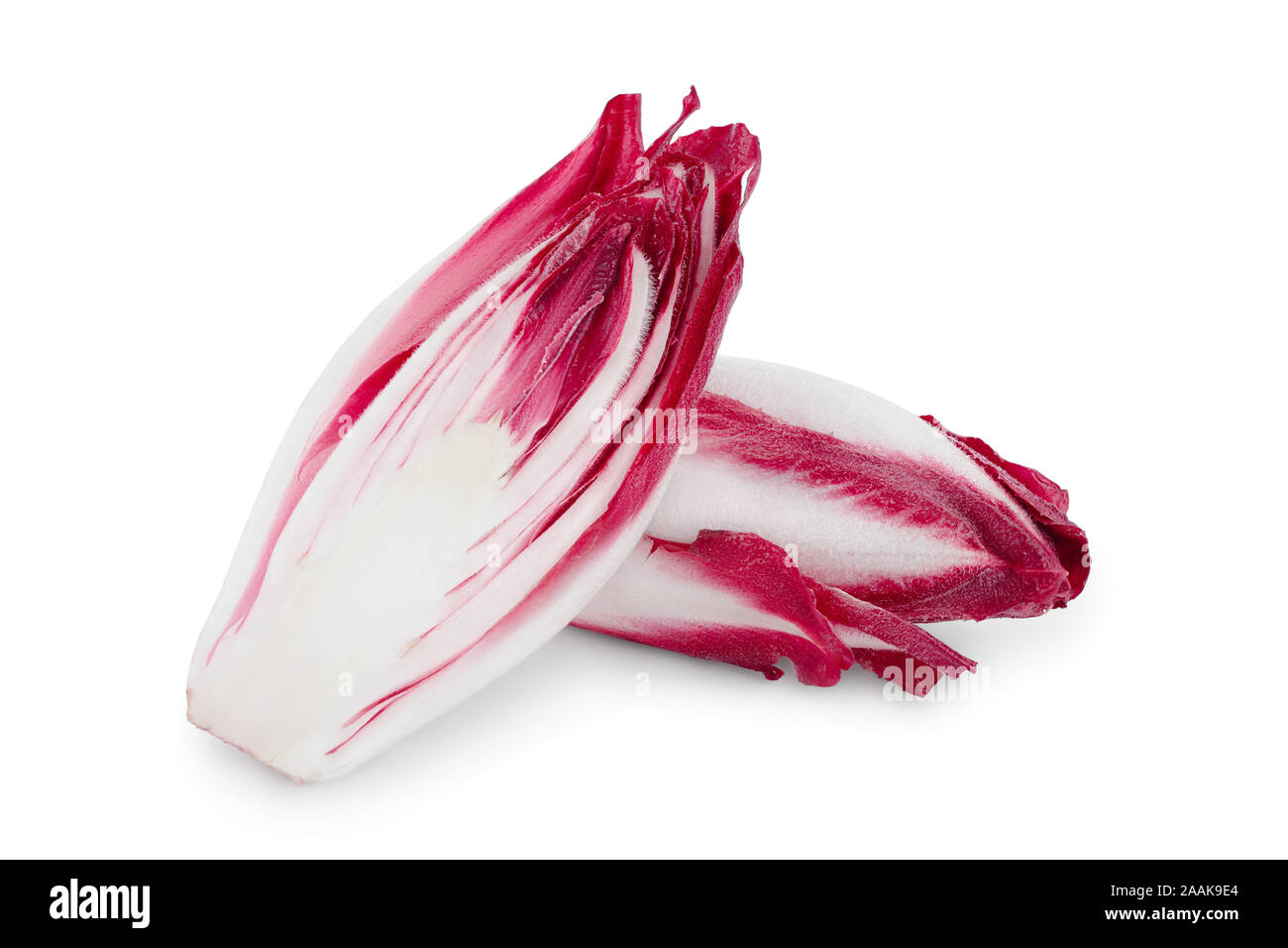 red chicory or radicchio isolated on white background Stock Photo - Alamy