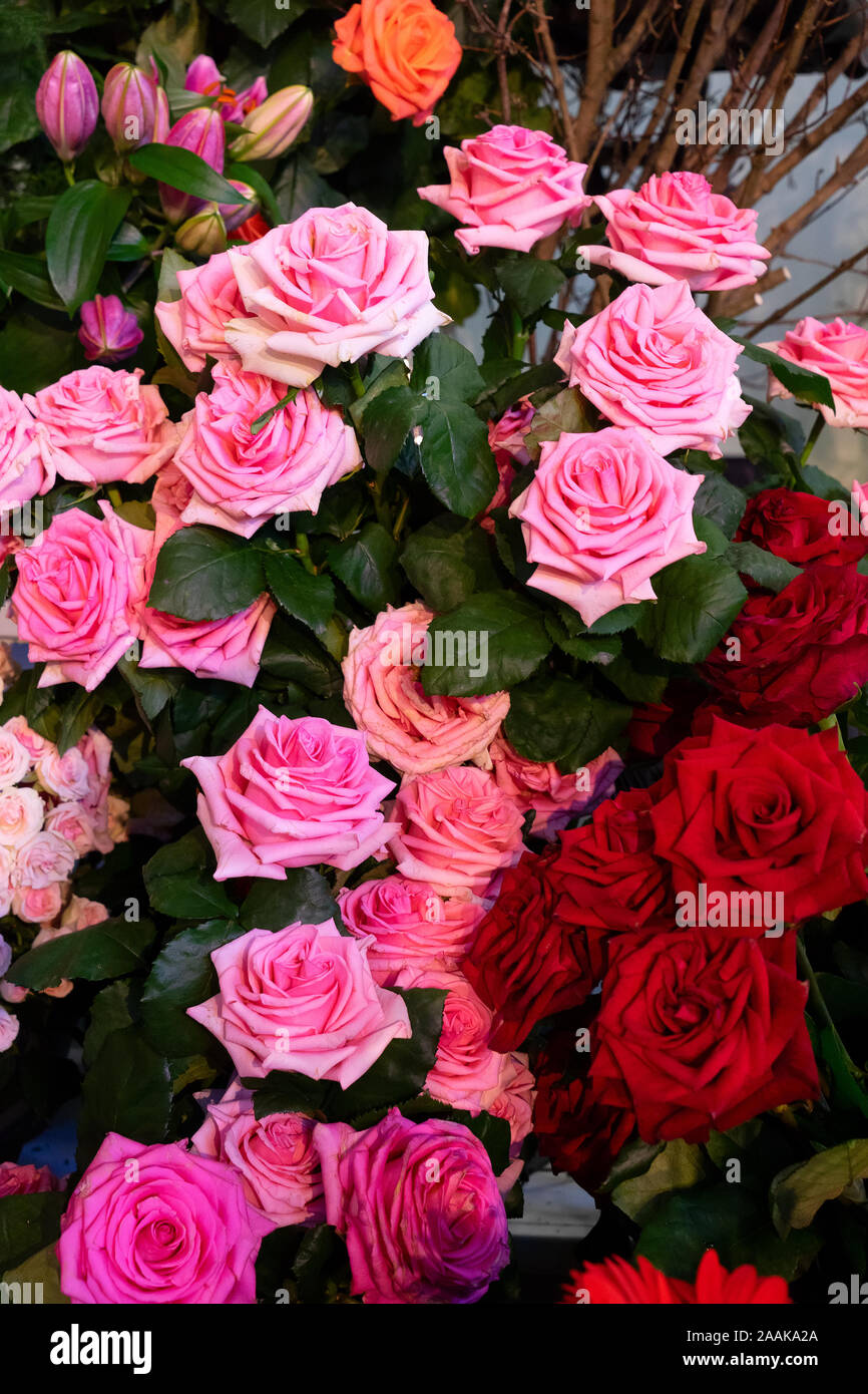 Natural flower background Stock Photo - Alamy