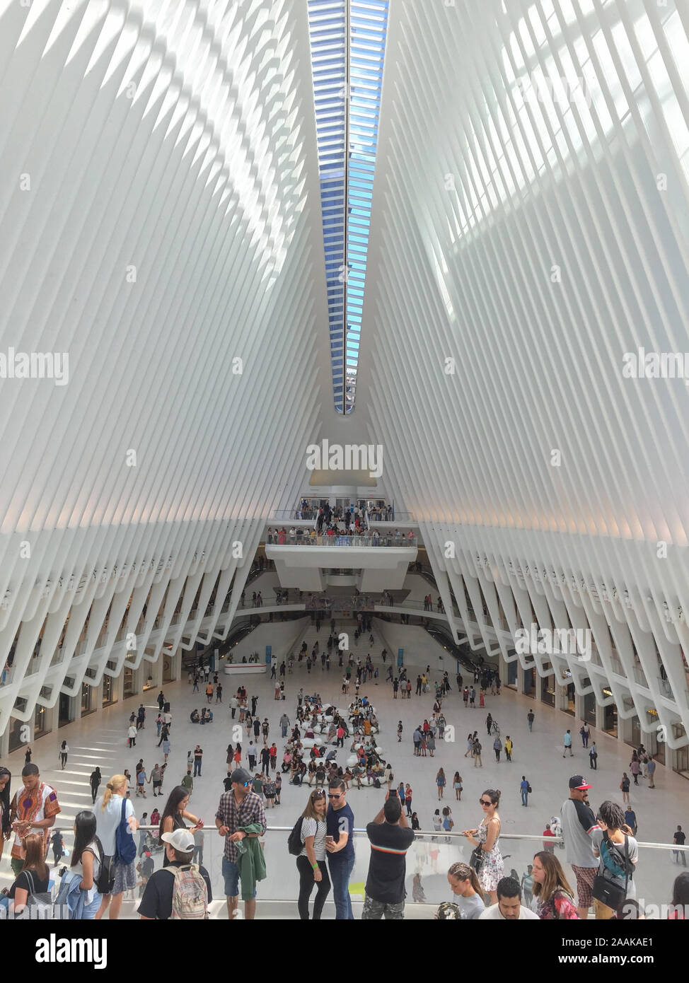 Santiago calatrava architect hi-res stock photography and images - Alamy