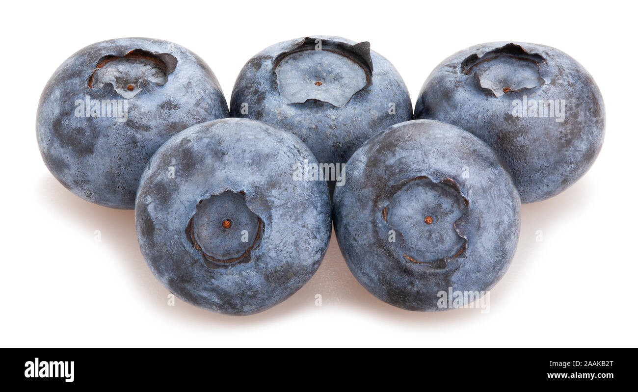blueberry path isolated on white Stock Photo - Alamy