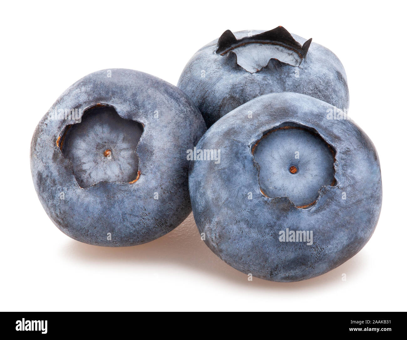blueberry path isolated on white Stock Photo - Alamy