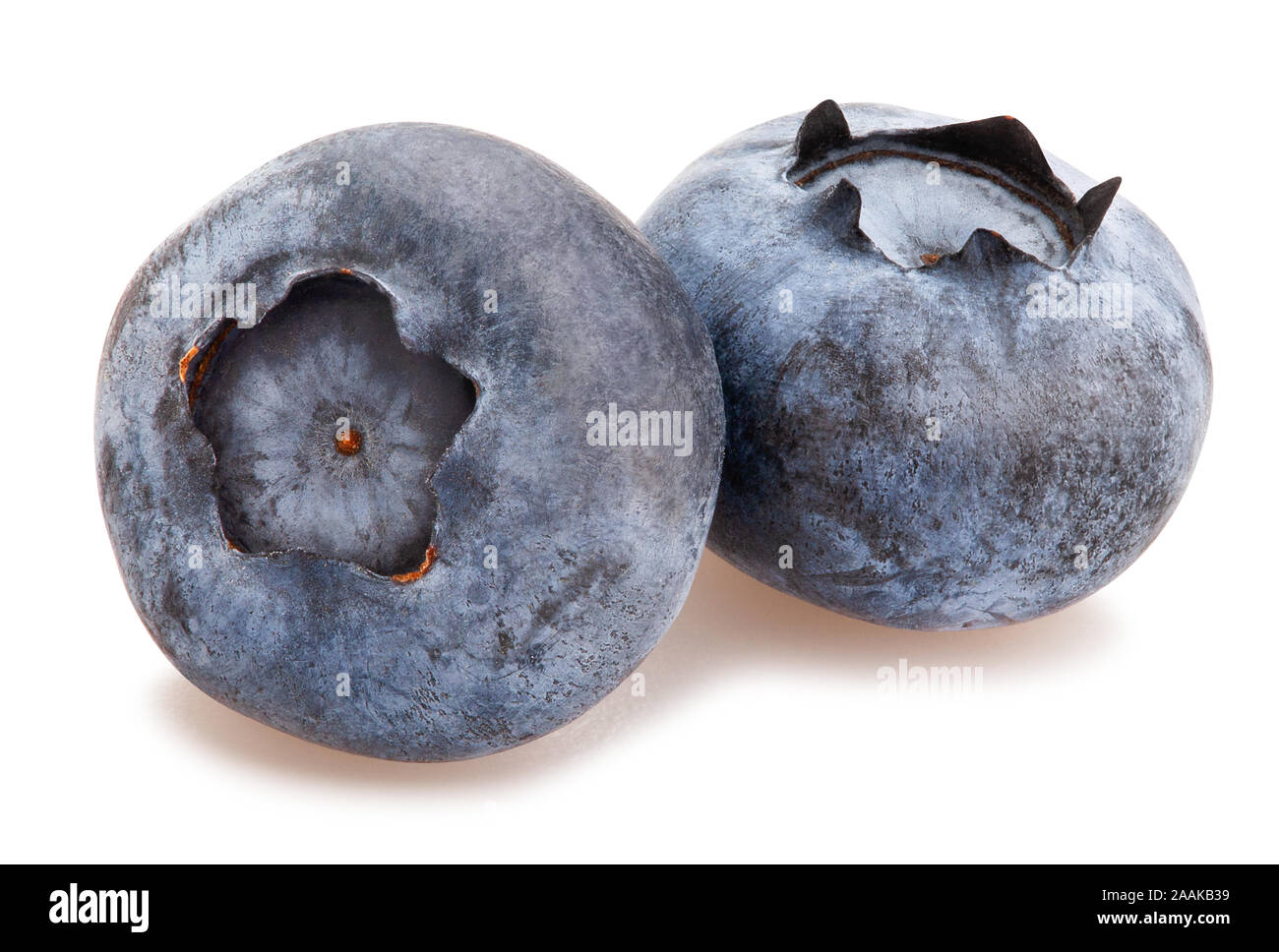 blueberry path isolated on white Stock Photo - Alamy