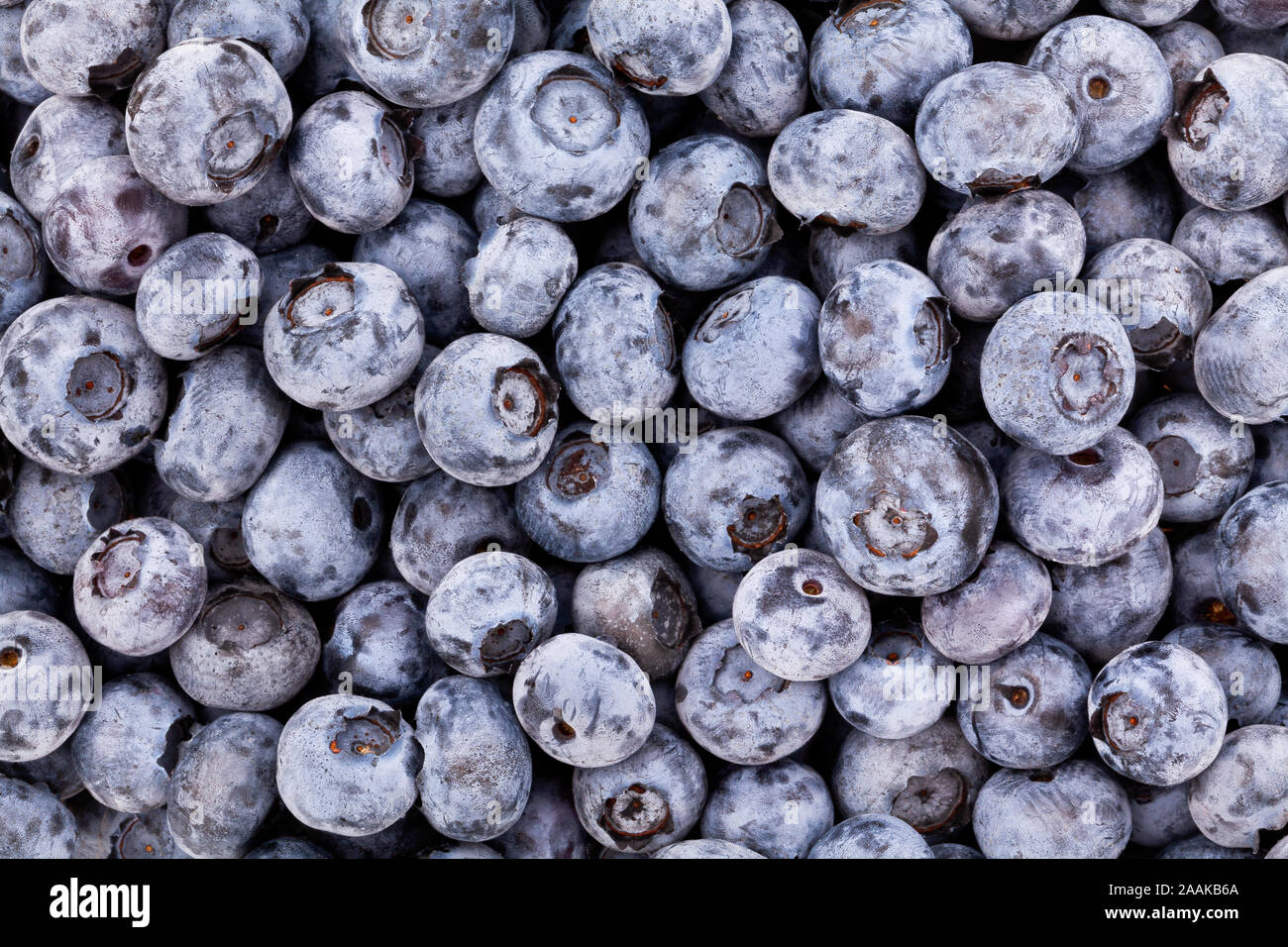 Blueberry texture hi-res stock photography and images - Alamy