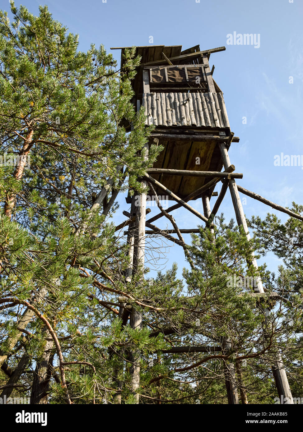 landscape with old wooden hunter tower Stock Photo - Alamy
