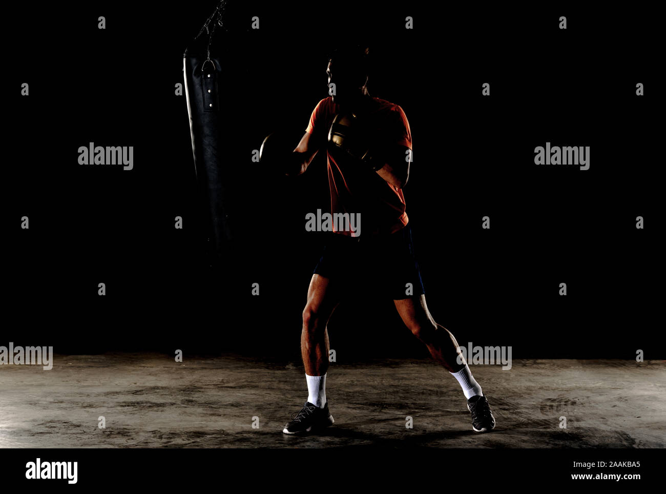 Adult boxer in boxing gloves training with boxing punching bag in a gym ...