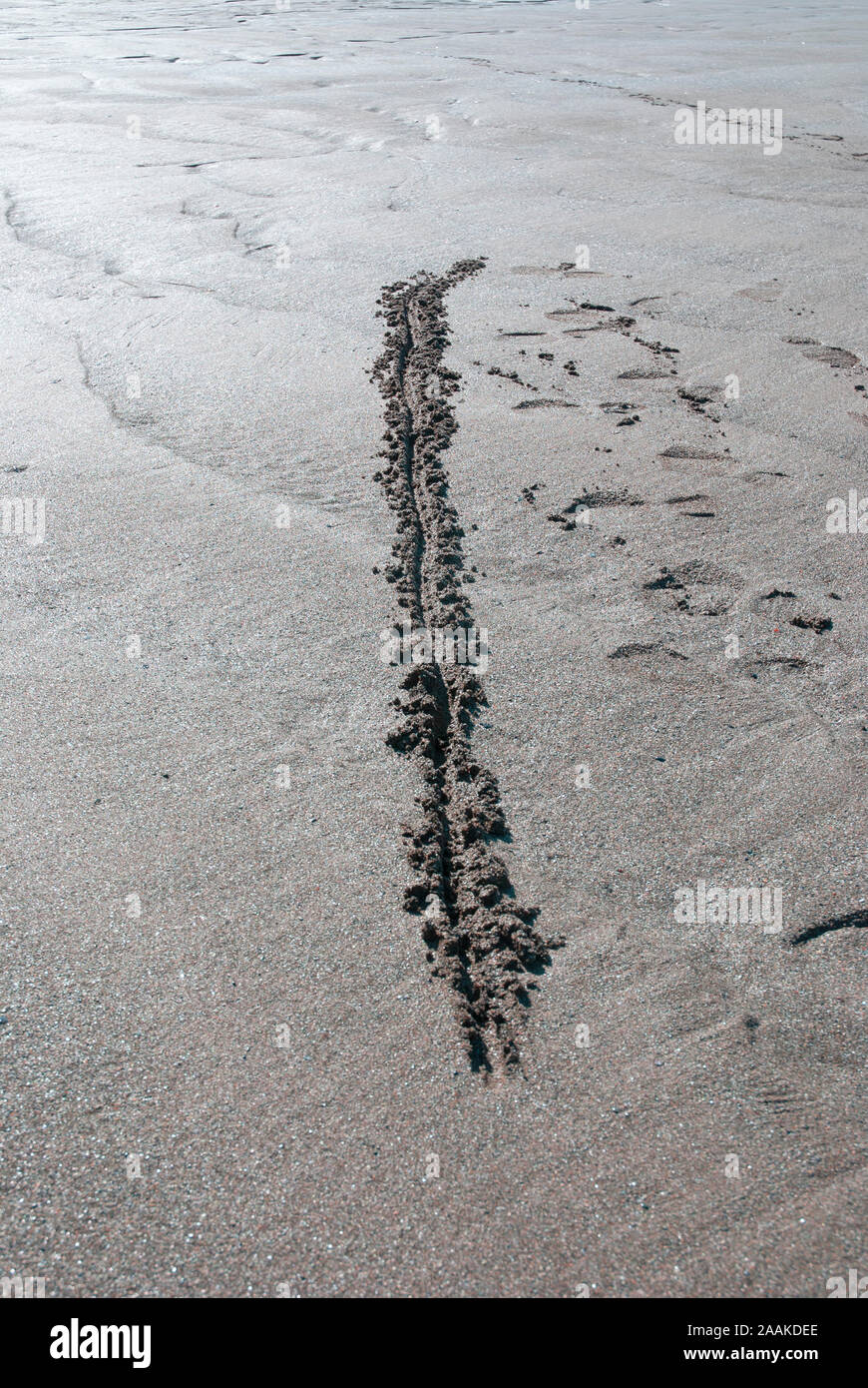 Cant draw hi-res stock photography and images - Alamy