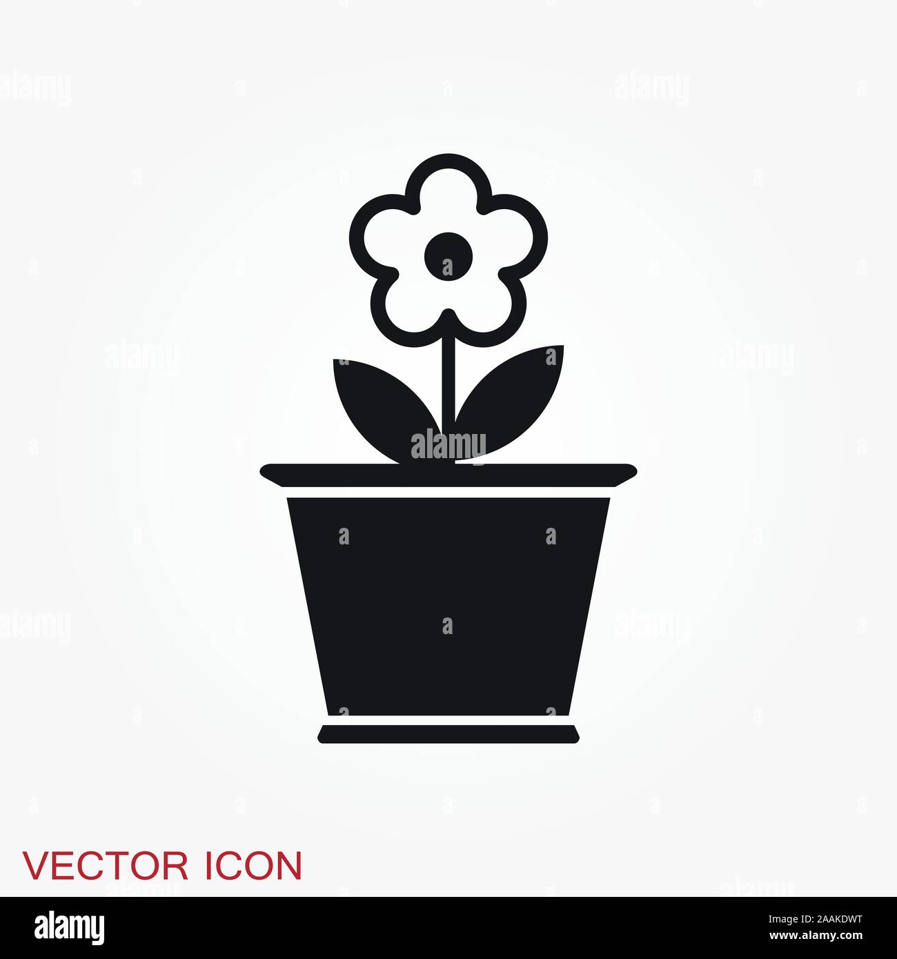 Cactus and fern plants at home Cut Out Stock Images & Pictures - Alamy