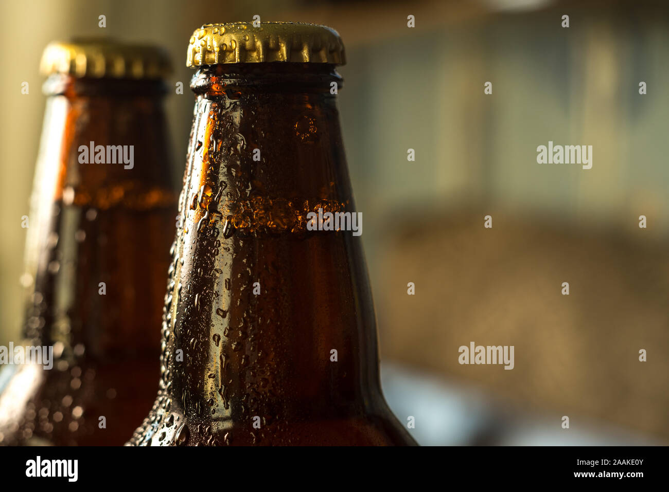 cold beer bottle in droplets of water of their refrigerator Stock Photo ...