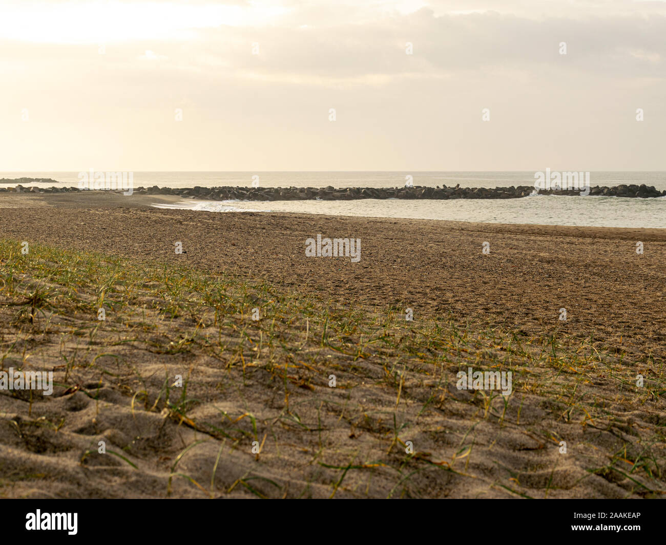 landscape with sandy path in the sea dunes Stock Photo - Alamy