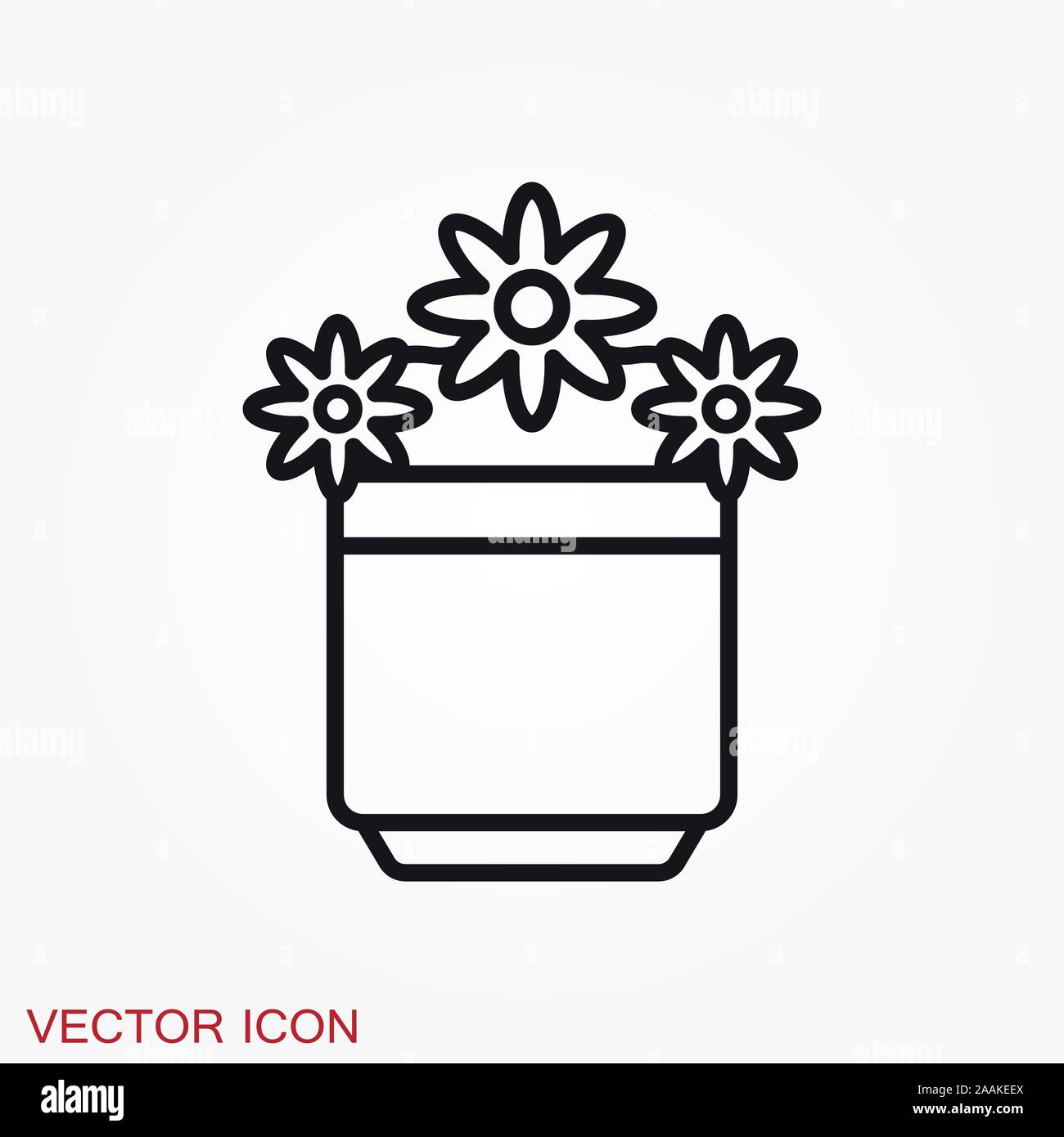 Cactus and fern plants at home Cut Out Stock Images & Pictures - Alamy